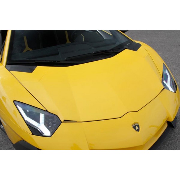 Capot Carbone NOVITEC Lamborghini AVENTADOR SV (+Roadster SV)