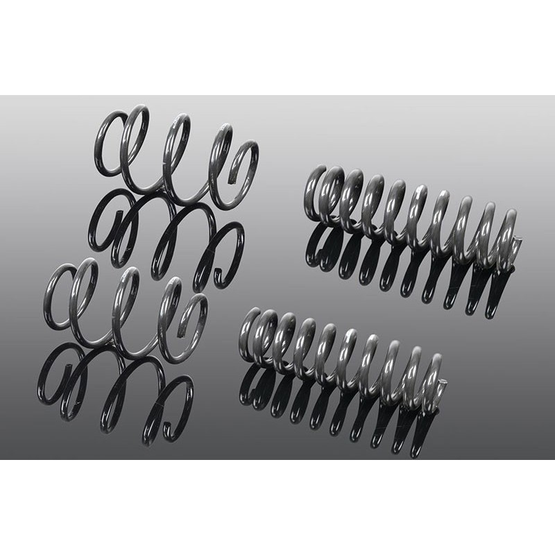 Ressorts Courts BMW 118d 120d F40 AC SCHNITZER - SupRcars®